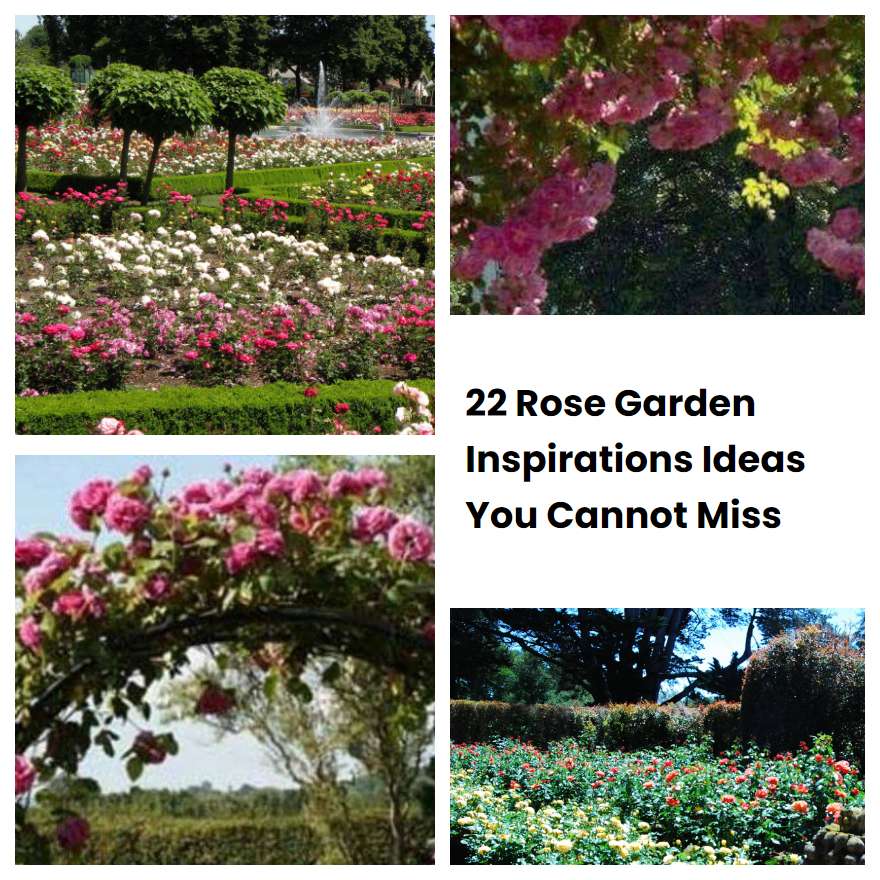 22 Rose Garden Inspirations Ideas You Cannot Miss | SharonSable
