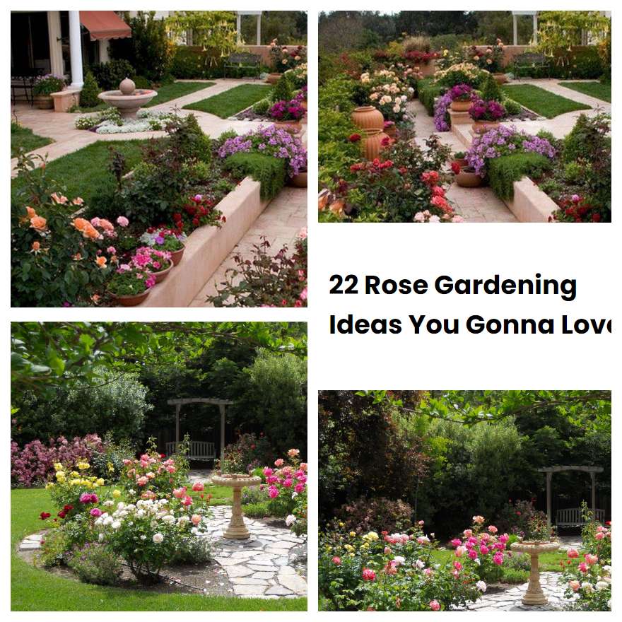 22 Rose Gardening Ideas You Gonna Love | SharonSable