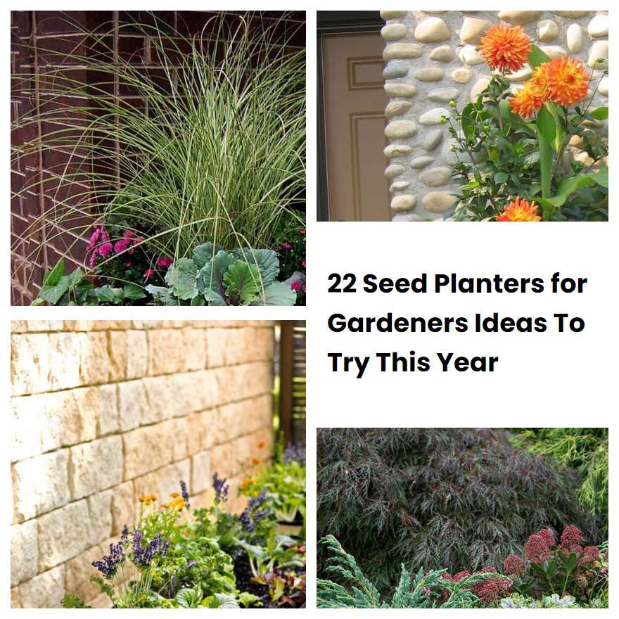 22 Seed Planters For Gardeners Ideas To Try This Year Sharonsable