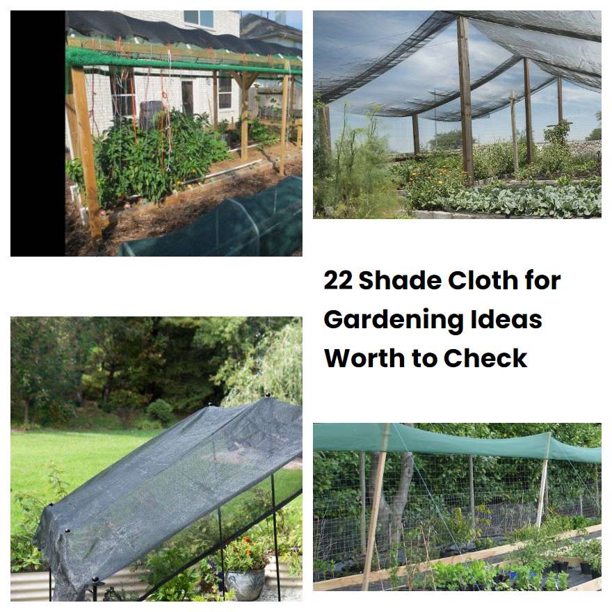 22 Shade Cloth for Gardening Ideas Worth to Check | SharonSable