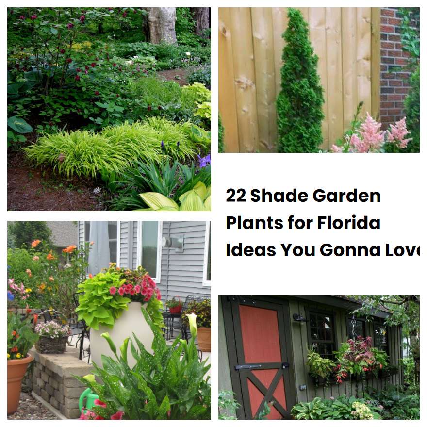 22 Shade Garden Plants for Florida Ideas You Gonna Love | SharonSable