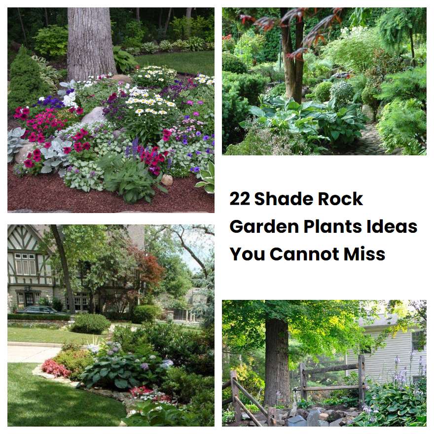 22 Shade Rock Garden Plants Ideas You Cannot Miss | SharonSable
