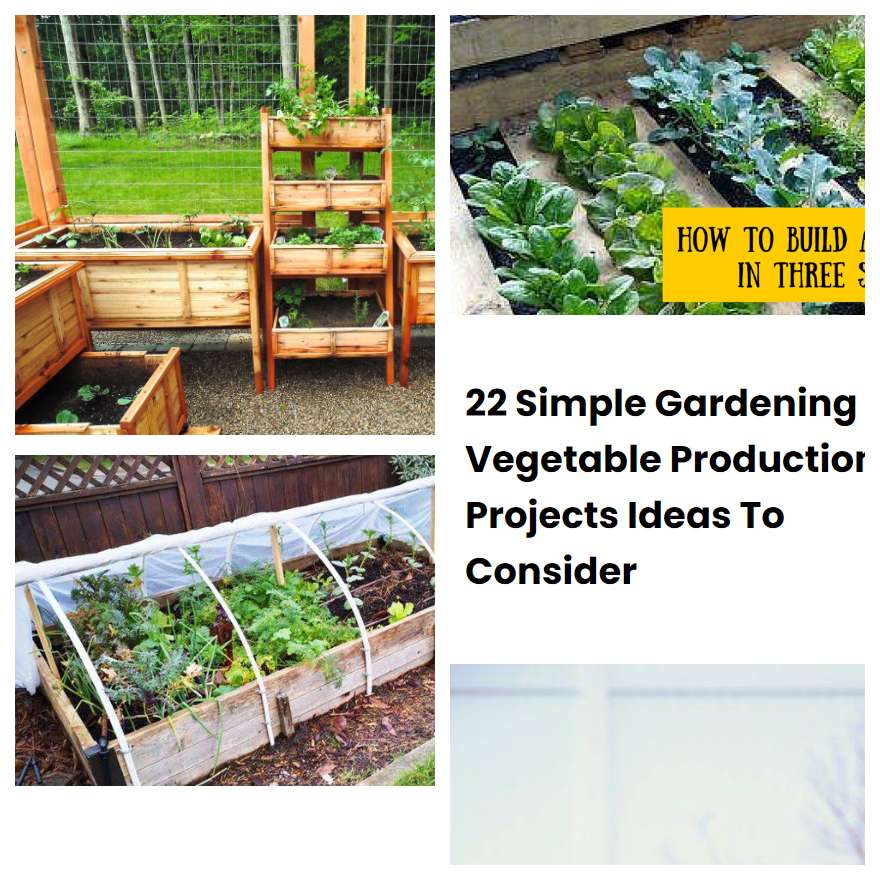 22 Simple Gardening Vegetable Production Projects Ideas To Consider ...