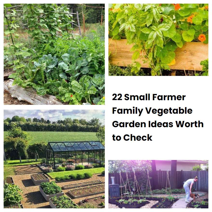 22 Small Farmer Family Vegetable Garden Ideas Worth to Check | SharonSable
