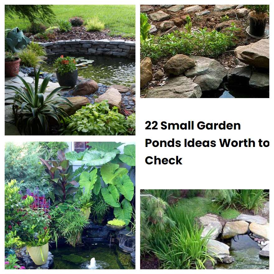 22 Garden Grotto Design Ideas You Cannot Miss | SharonSable