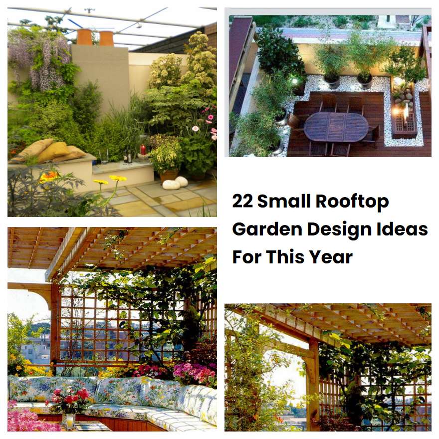 22 Small Rooftop Garden Design Ideas For This Year | SharonSable