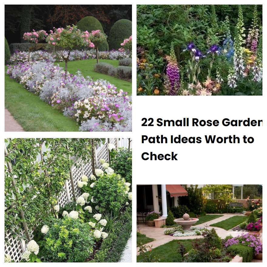 22 Small Rose Garden Path Ideas Worth to Check | SharonSable