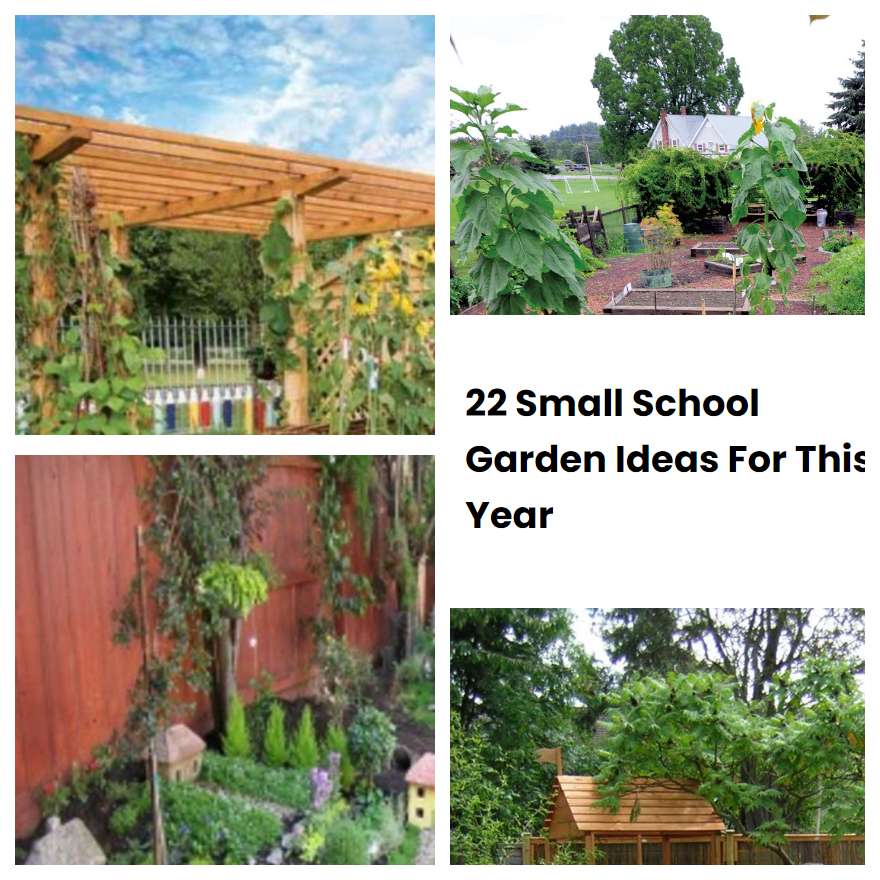 22 Small School Garden Ideas For This Year | SharonSable