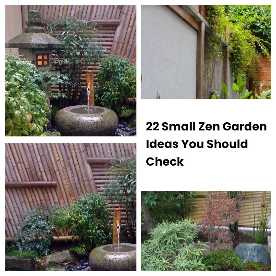 22 Small Zen Garden Ideas You Should Check | SharonSable