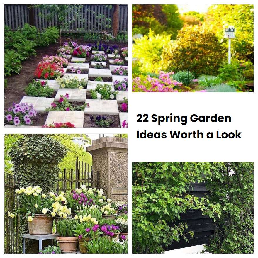 22 Spring Garden Ideas Worth a Look | SharonSable