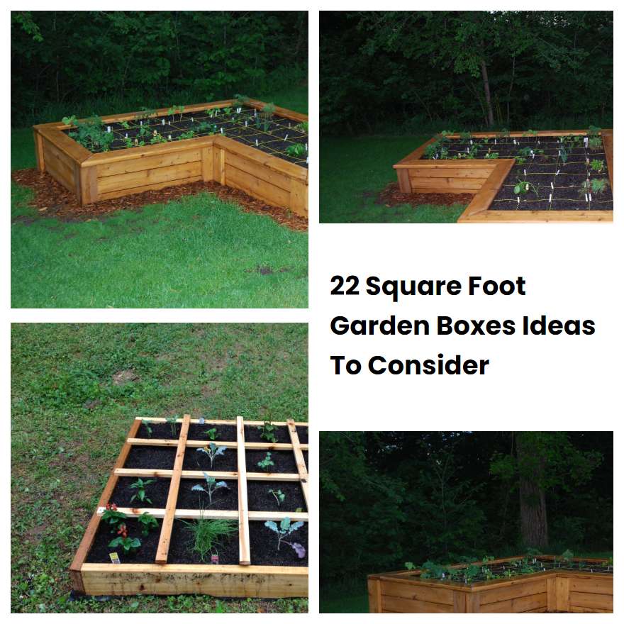 22 Square Foot Garden Boxes Ideas To Consider | SharonSable