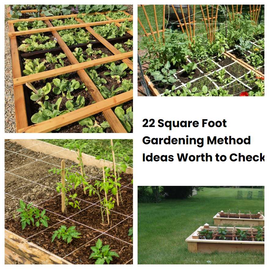22 Square Foot Gardening Method Ideas Worth to Check | SharonSable