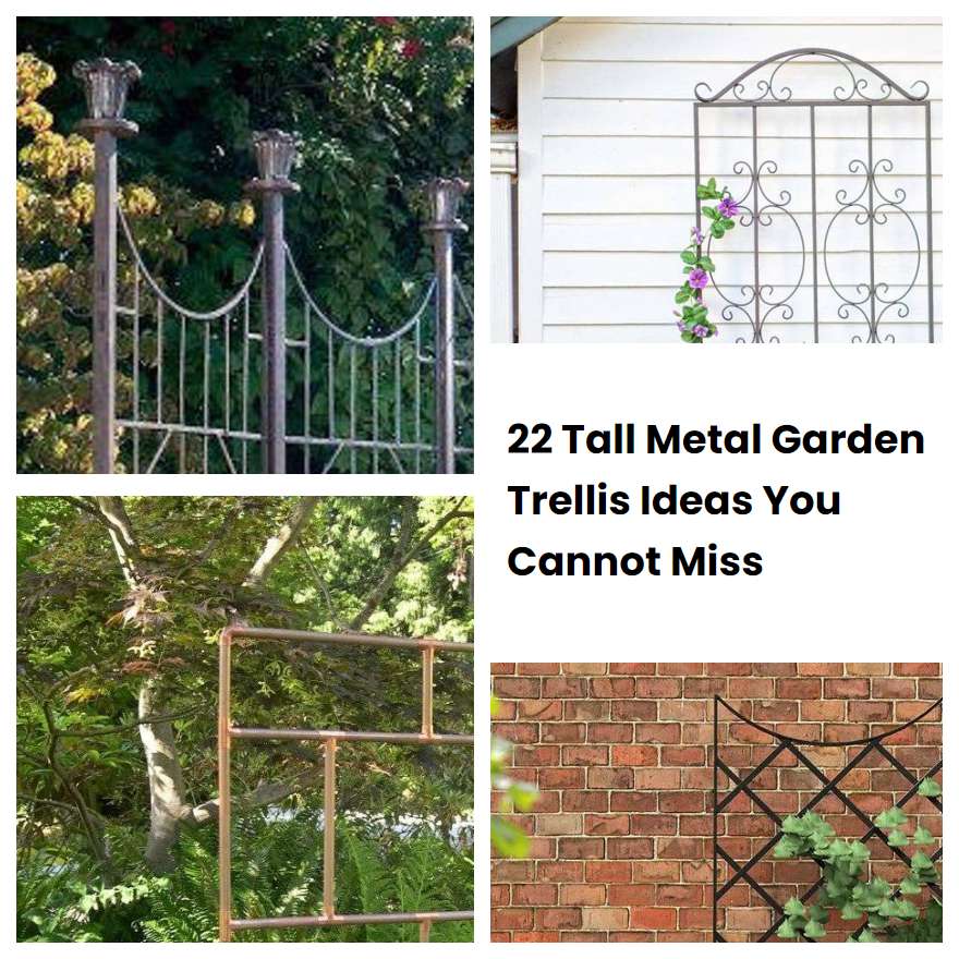 22 Tall Metal Garden Trellis Ideas You Cannot Miss | SharonSable