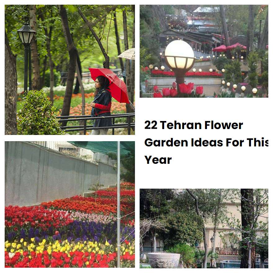 22 Tehran Flower Garden Ideas For This Year | SharonSable