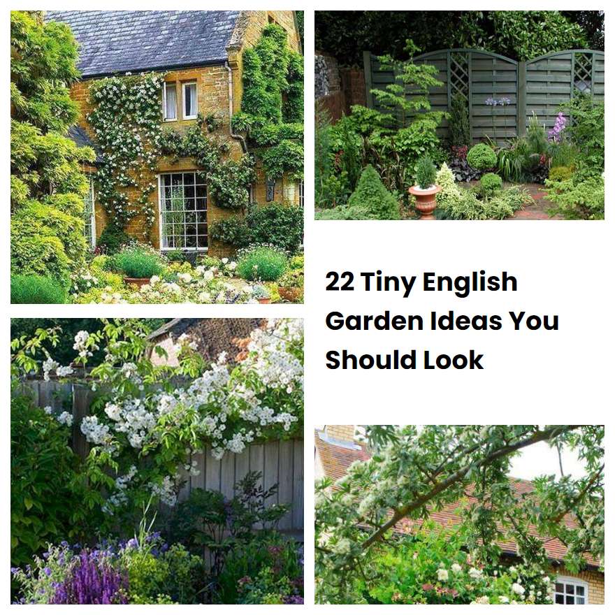 22 Tiny English Garden Ideas You Should Look | SharonSable