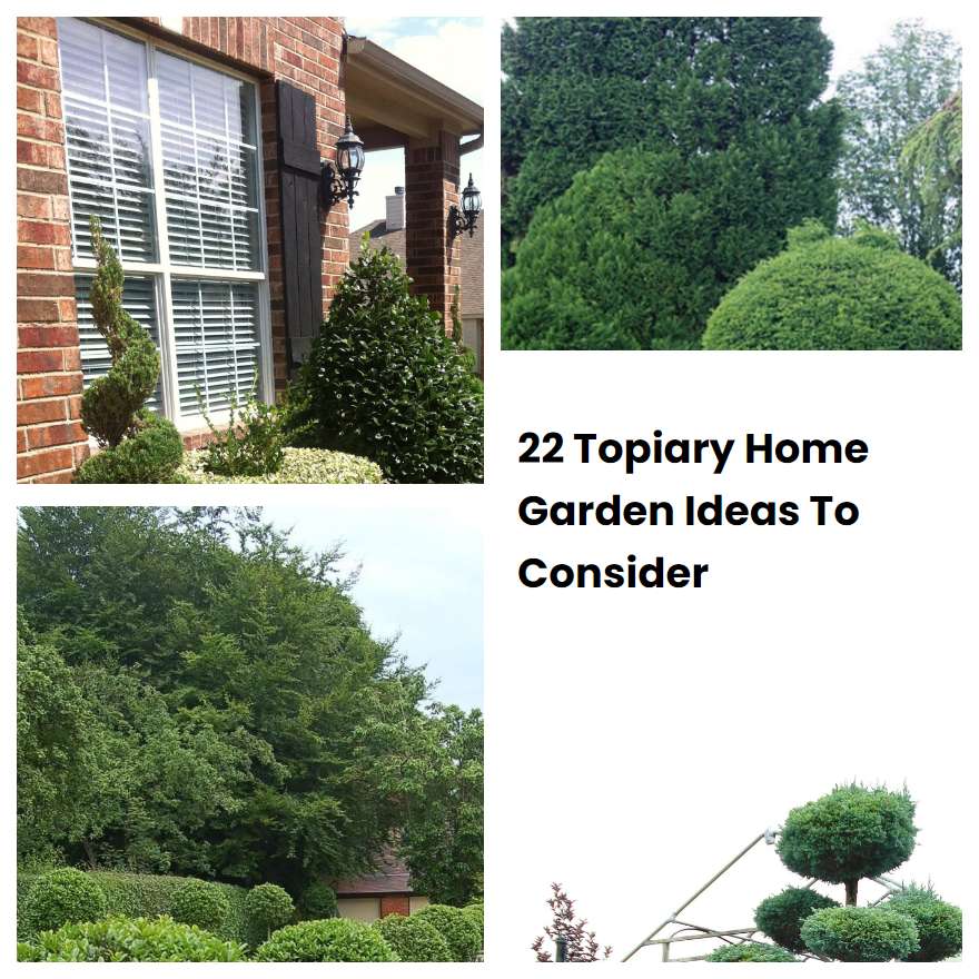 22 Topiary Home Garden Ideas To Consider | SharonSable