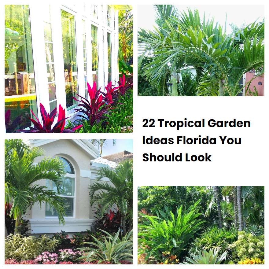 22 Tropical Garden Ideas Florida You Should Look | SharonSable