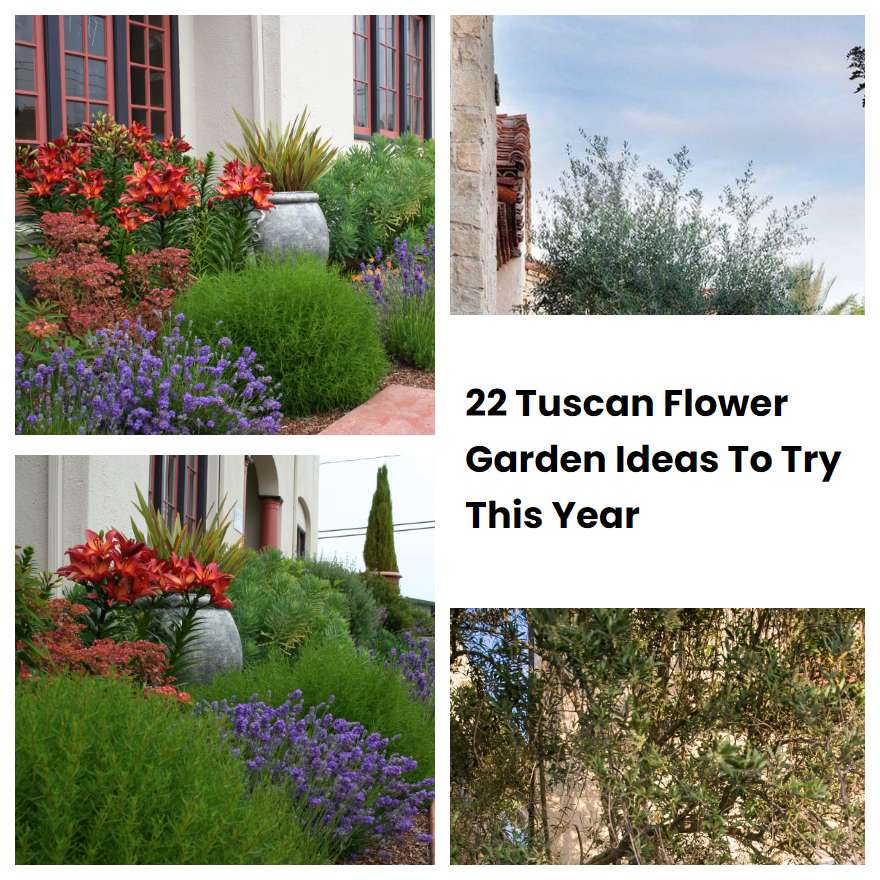22 Tuscan Flower Garden Ideas To Try This Year | SharonSable