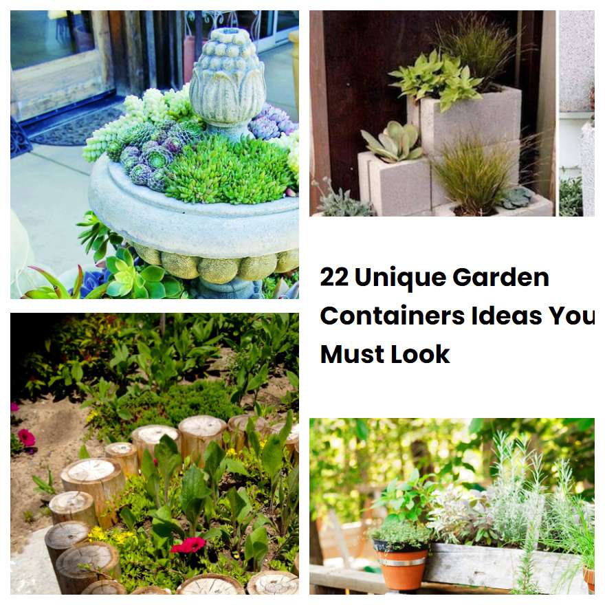 22 Unique Garden Containers Ideas You Must Look | SharonSable