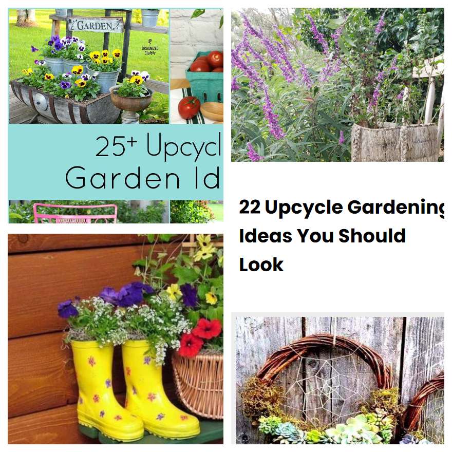 22 Upcycle Gardening Ideas You Should Look | SharonSable