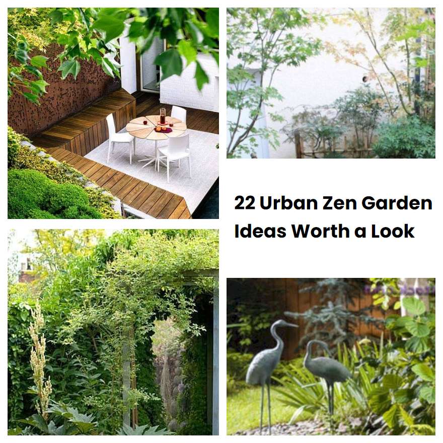 22 Urban Zen Garden Ideas Worth a Look | SharonSable