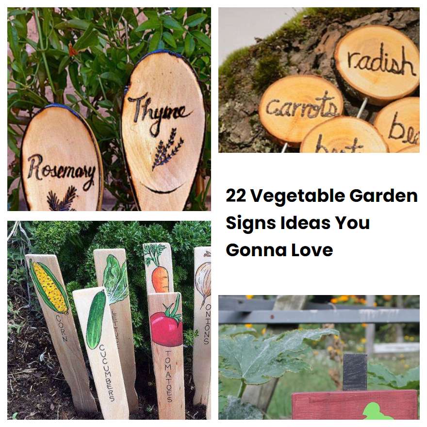 22 Vegetable Garden Signs Ideas You Gonna Love | SharonSable