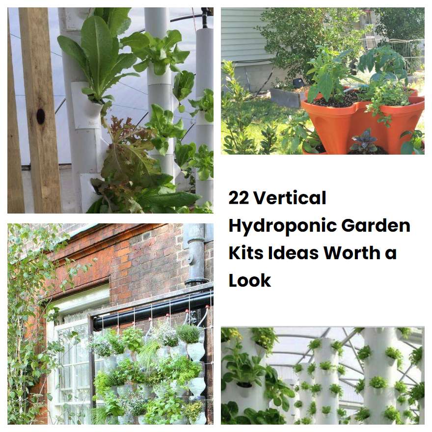 22 Vertical Hydroponic Garden Kits Ideas Worth a Look | SharonSable