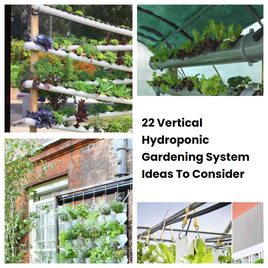 22 Vertical Hydroponic Gardening System Ideas To Consider | SharonSable
