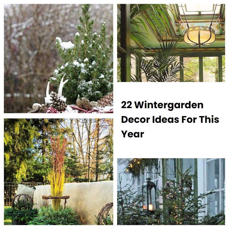 22 Wintergarden Decor Ideas For This Year | SharonSable