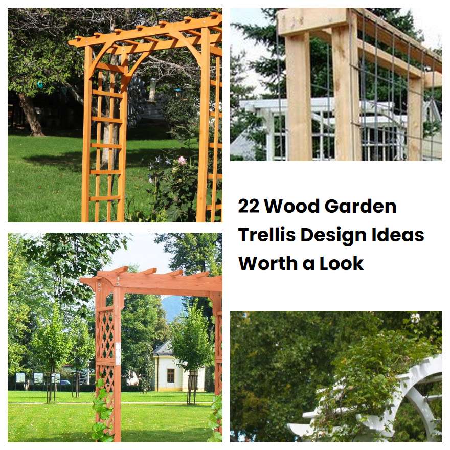 22 Wood Garden Trellis Design Ideas Worth a Look | SharonSable