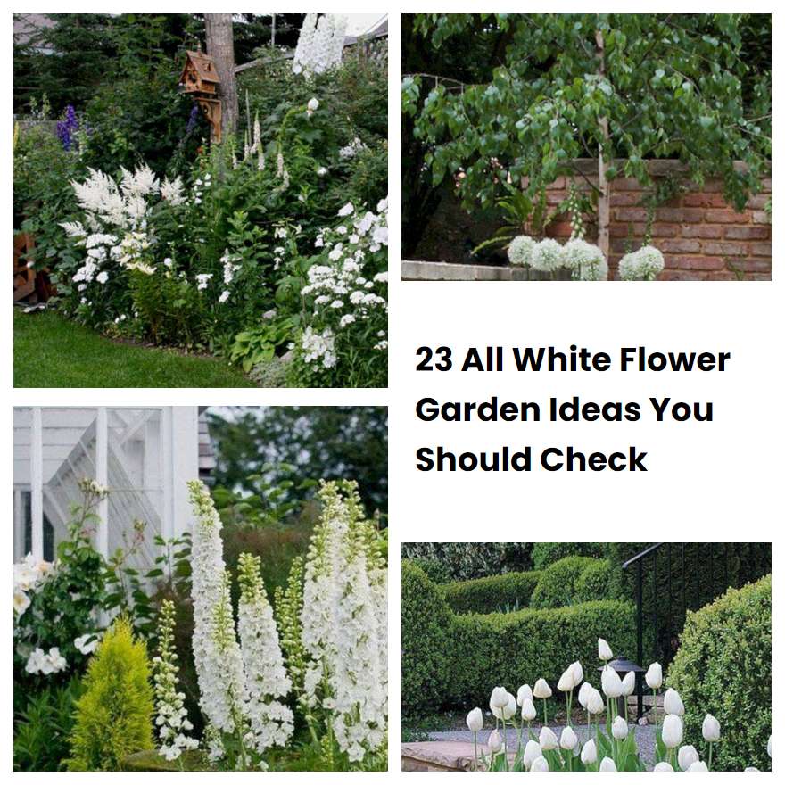 23 All White Flower Garden Ideas You Should Check | SharonSable