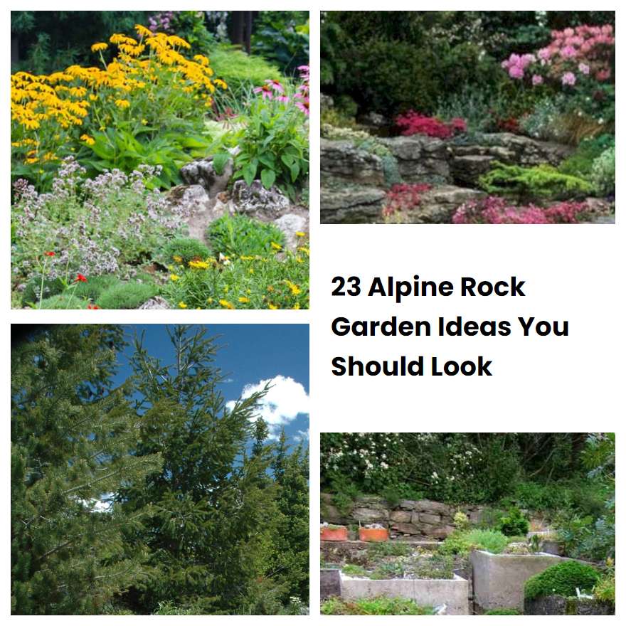 23 Alpine Rock Garden Ideas You Should Look | SharonSable
