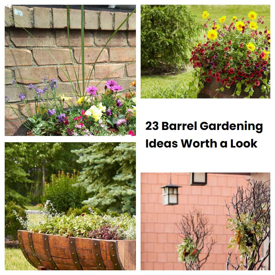 23 Barrel Gardening Ideas Worth a Look | SharonSable