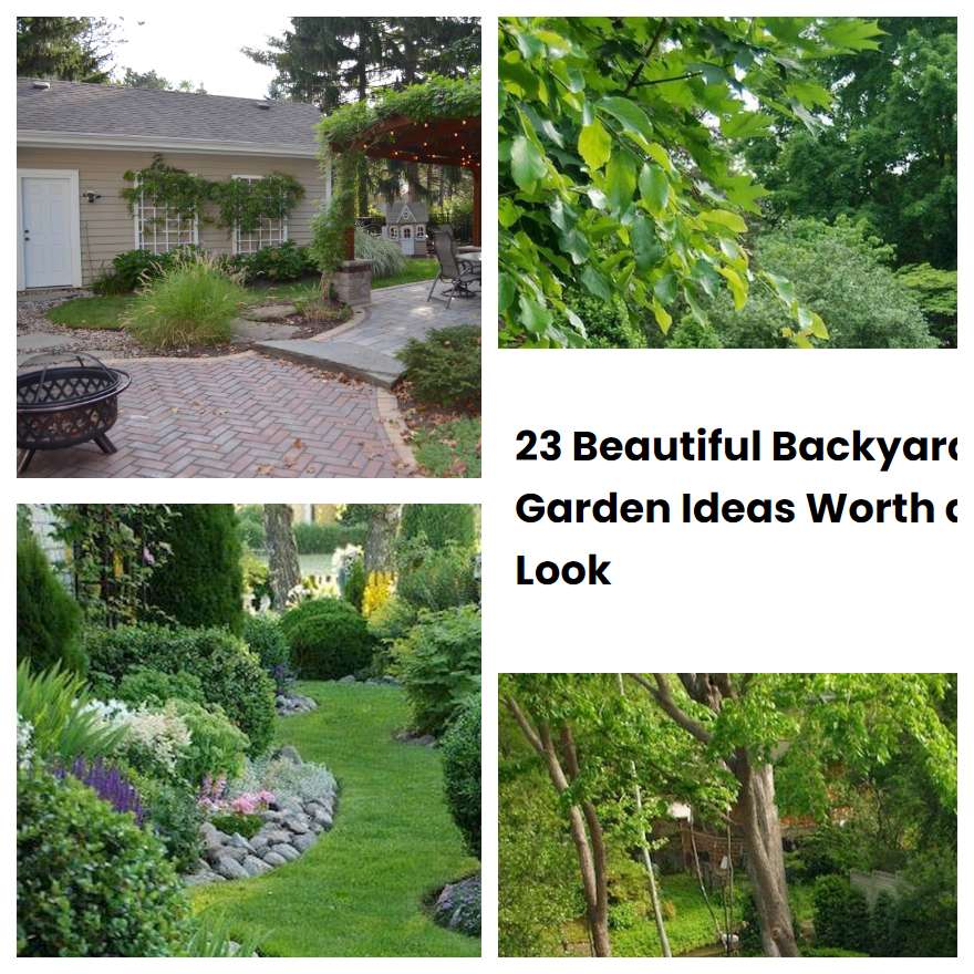 23 Beautiful Backyard Garden Ideas Worth a Look | SharonSable