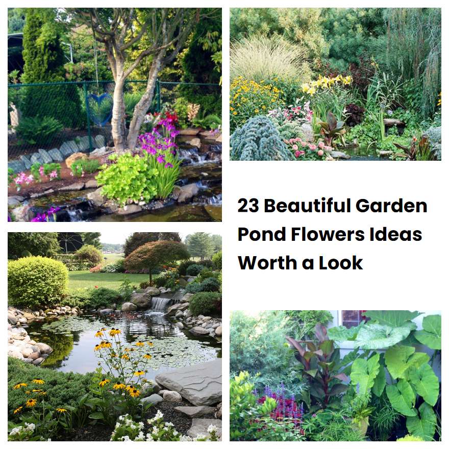23 Beautiful Garden Pond Flowers Ideas Worth a Look | SharonSable