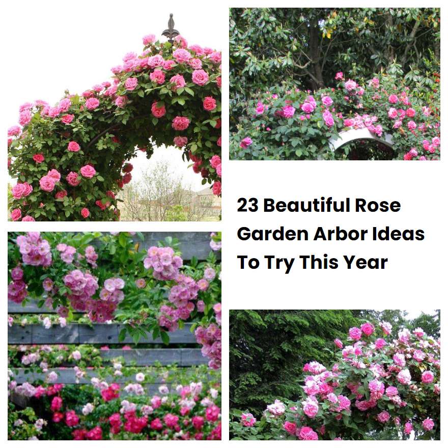 23 Beautiful Rose Garden Arbor Ideas To Try This Year | SharonSable