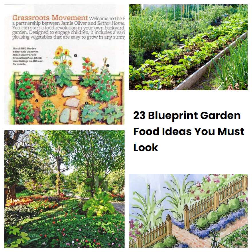 23 Blueprint Garden Food Ideas You Must Look | SharonSable