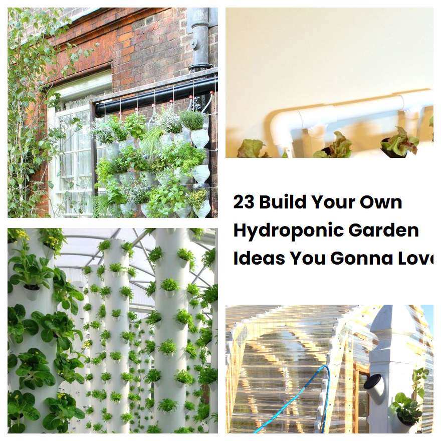 23 Build Your Own Hydroponic Garden Ideas You Gonna Love | SharonSable
