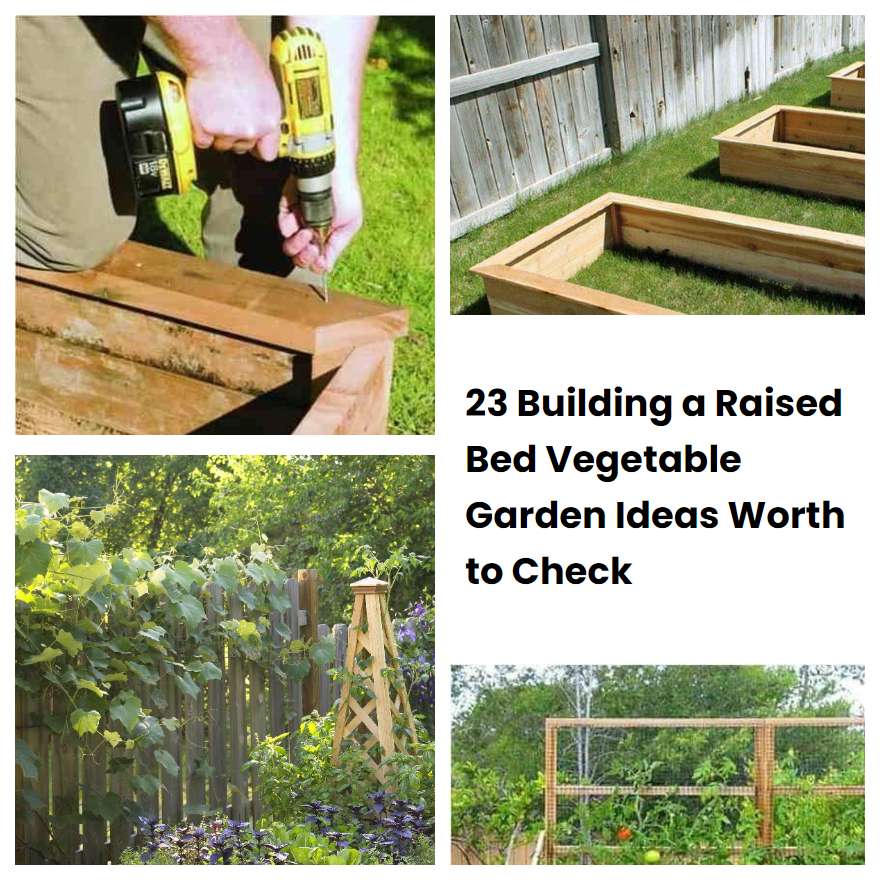 23 Building a Raised Bed Vegetable Garden Ideas Worth to Check ...