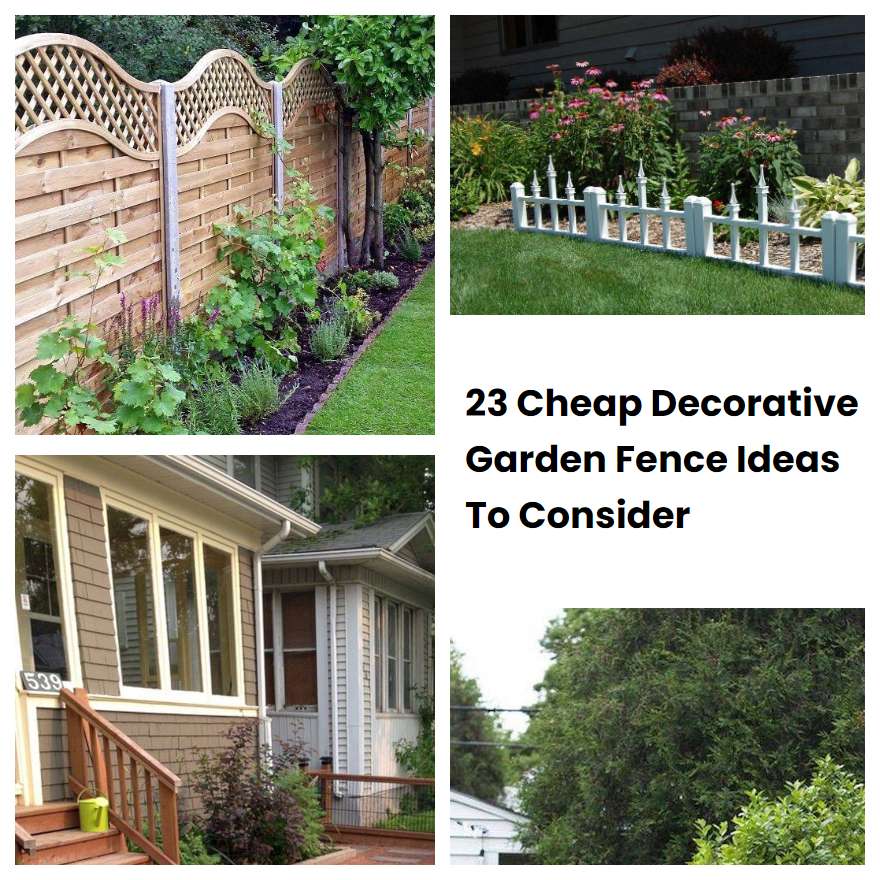 23 Cheap Decorative Garden Fence Ideas To Consider | SharonSable