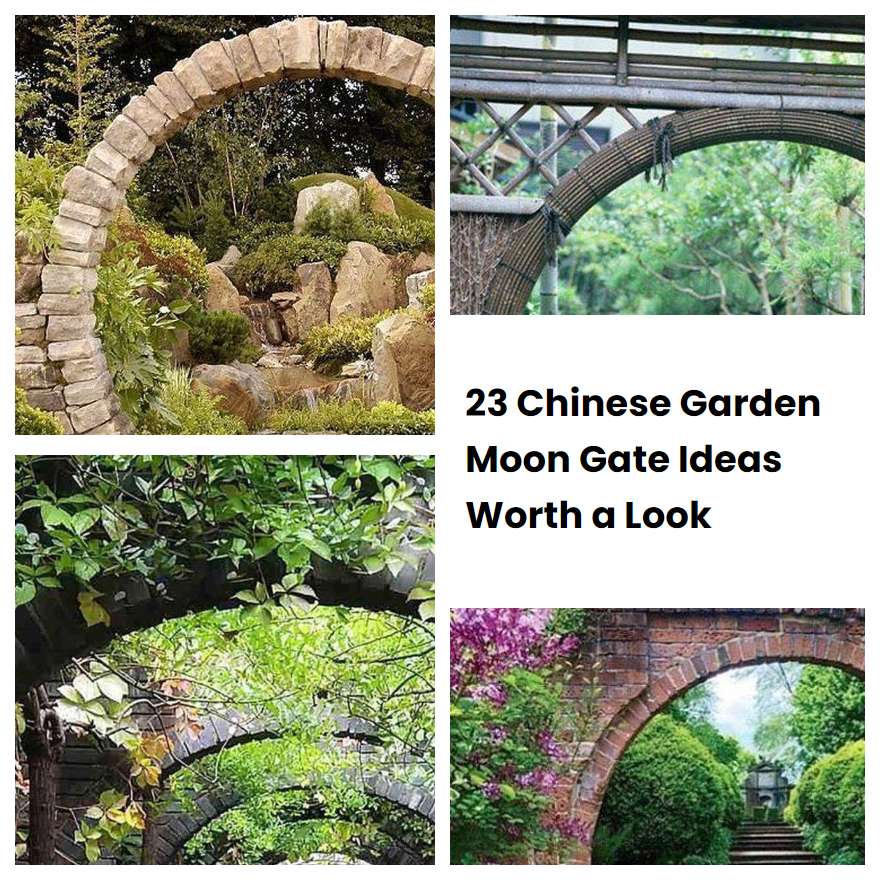 23 Chinese Garden Moon Gate Ideas Worth a Look | SharonSable