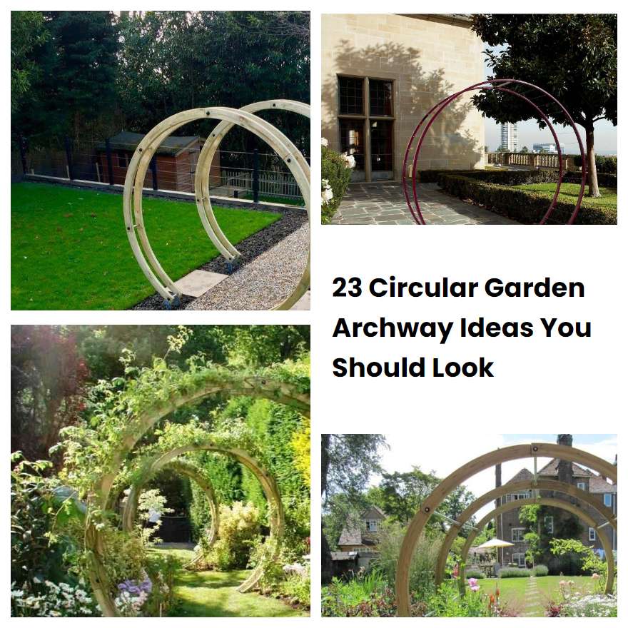23 Circular Garden Archway Ideas You Should Look | SharonSable