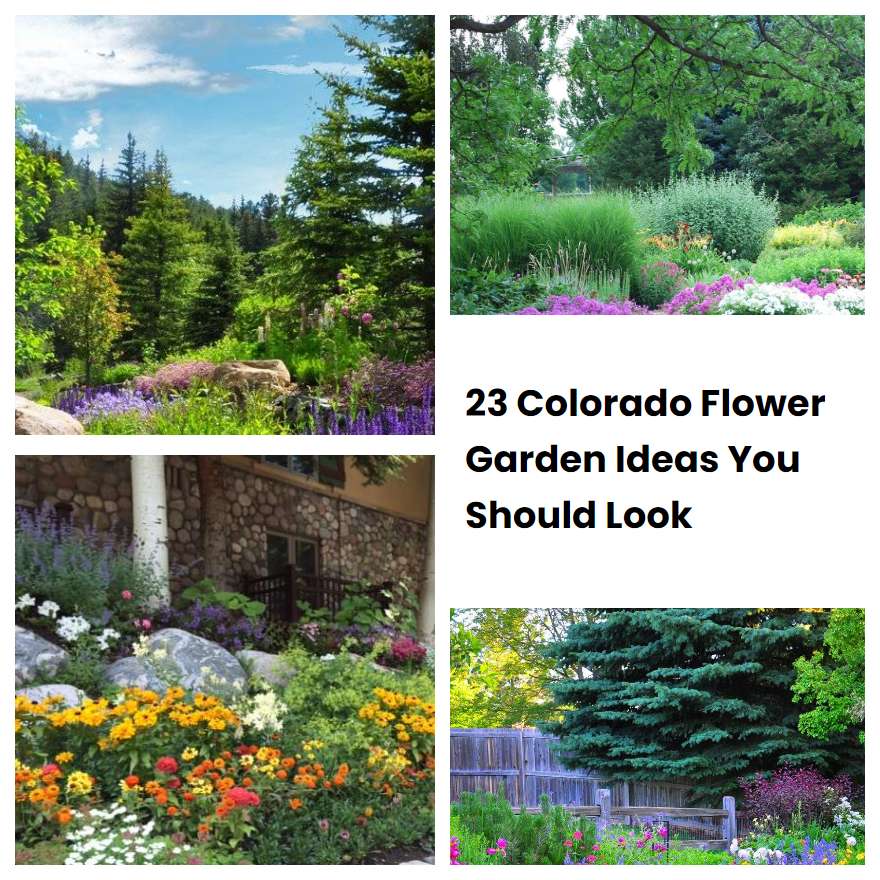23 Colorado Flower Garden Ideas You Should Look | SharonSable