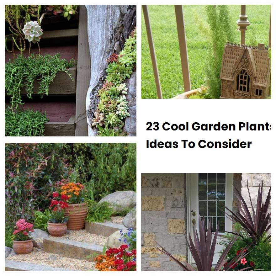 21 Japanese Garden Arbor Ideas You Cannot Miss | SharonSable