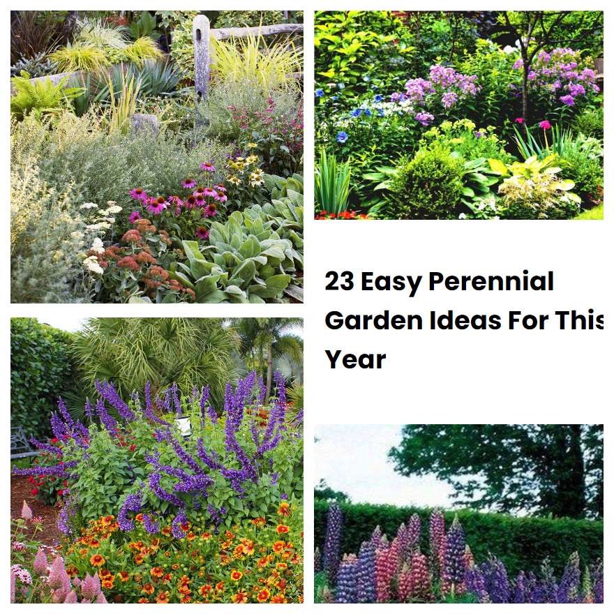 23 Easy Perennial Garden Ideas For This Year | SharonSable