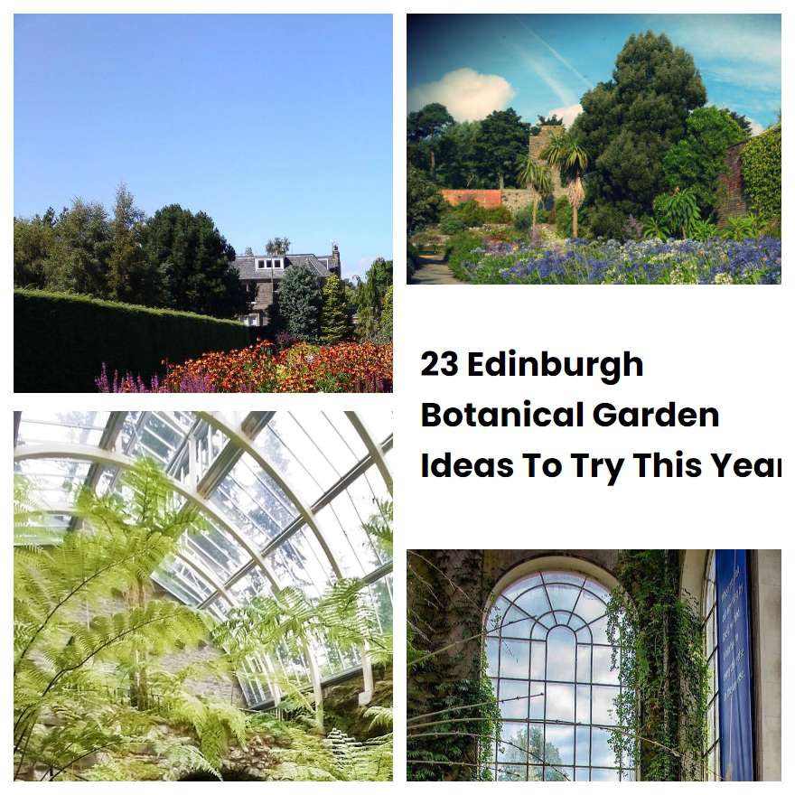 23 Edinburgh Botanical Garden Ideas To Try This Year | SharonSable