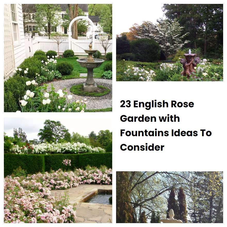 23 English Rose Garden with Fountains Ideas To Consider | SharonSable