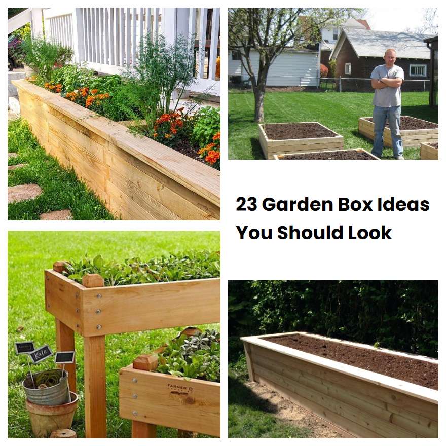 23 Garden Box Ideas You Should Look | SharonSable