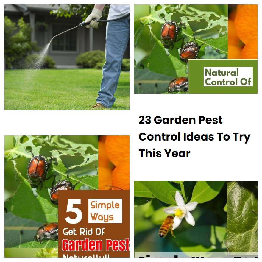 23 Garden Pest Control Ideas To Try This Year | SharonSable