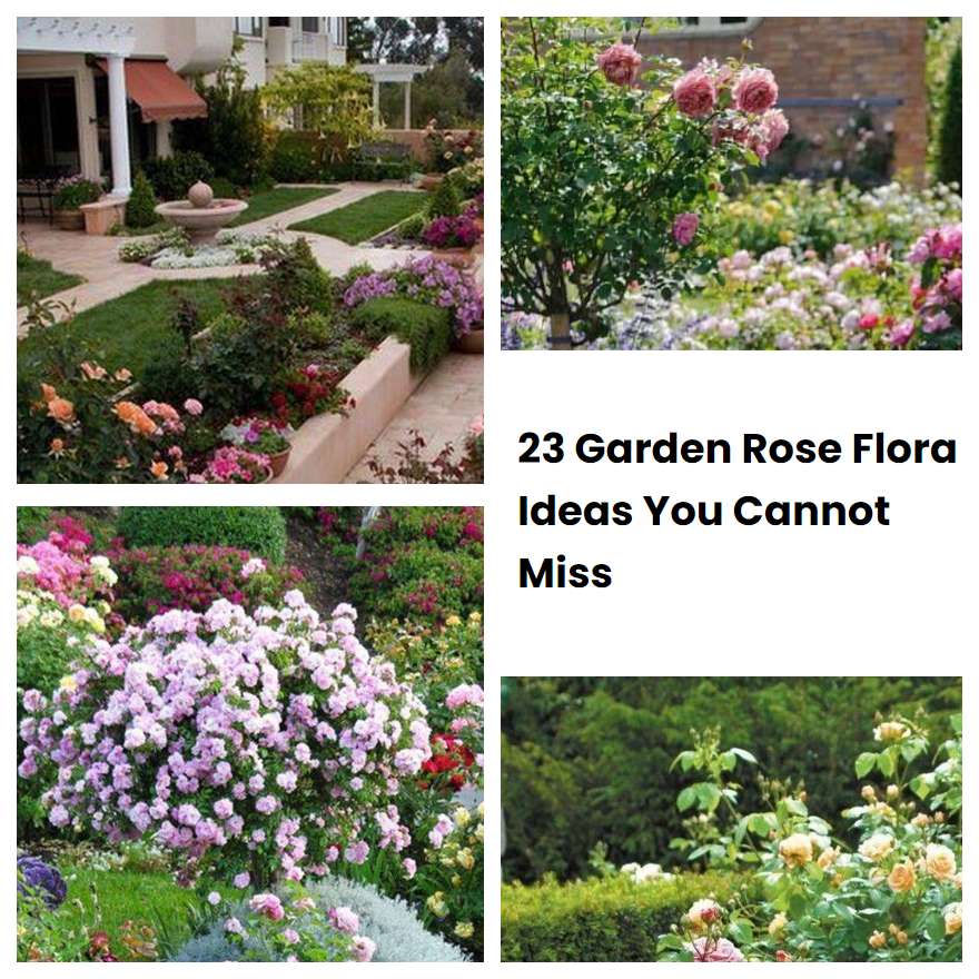 23 Garden Rose Flora Ideas You Cannot Miss | SharonSable
